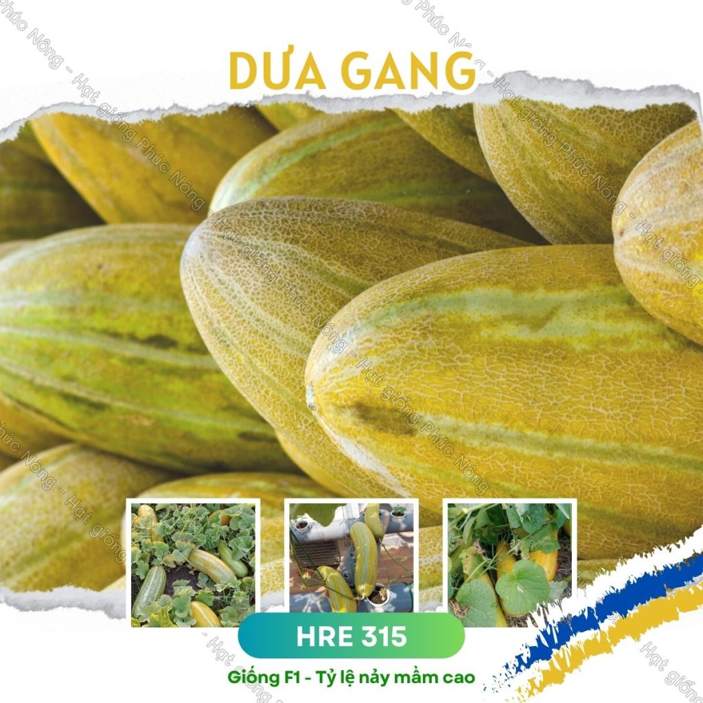 Hạt Giống Dưa Gang Gói 50 Hạt Mua Hạt Giống Rau Củ Quả Hoa And Cỏ Hạt Giống Giá Rẻ